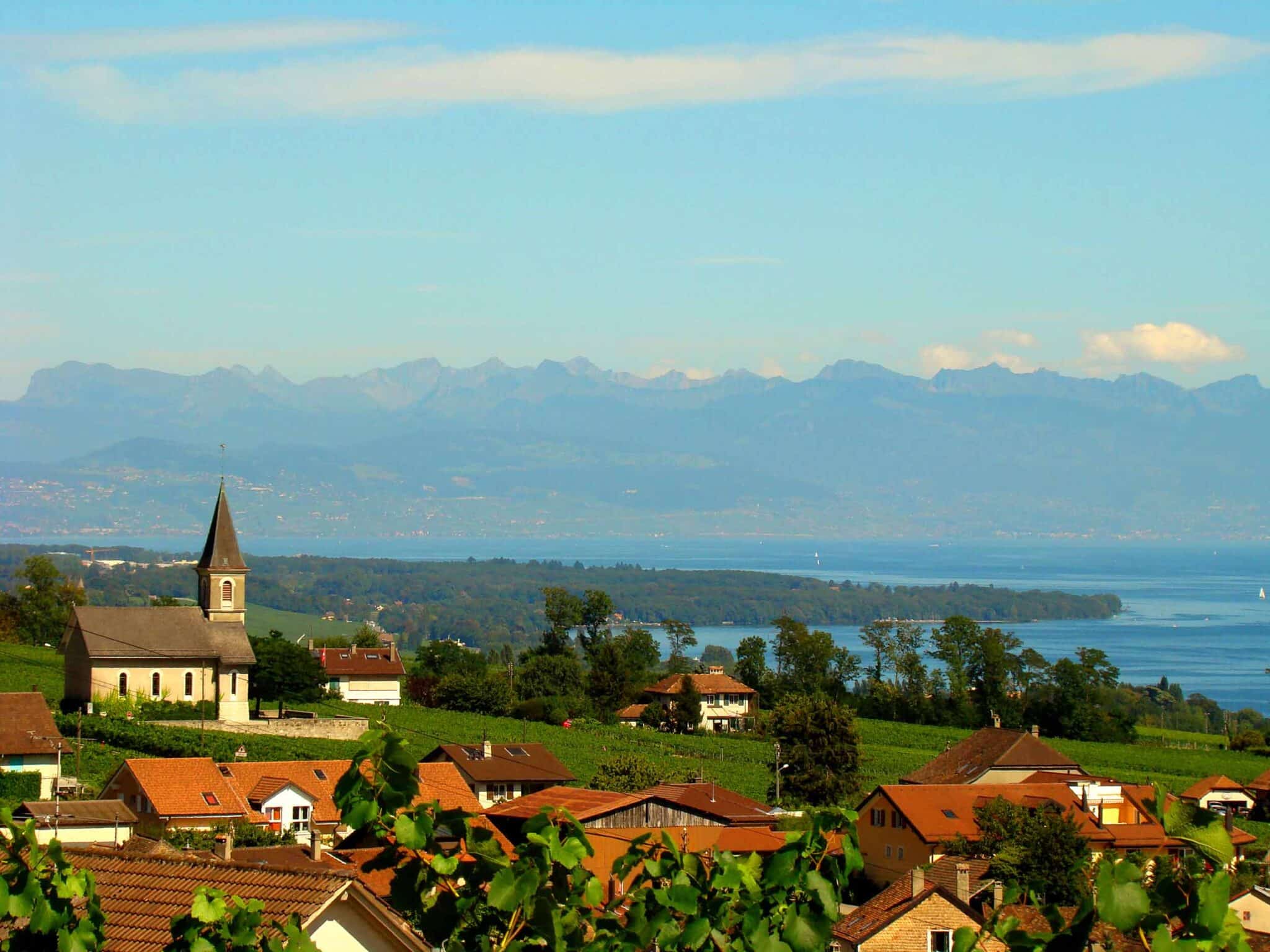 Tour du Pays de Vaud Gilly -2025 - Léman Running